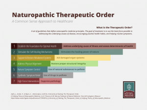 The Healing Power of Nature in Naturopathic Medicine