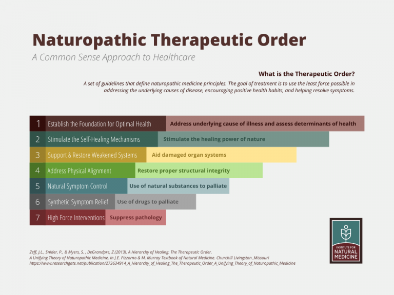 The Healing Power of Nature in Naturopathic Medicine